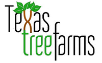 Texas Tree Farms | Buy Directly From Grower in Texas